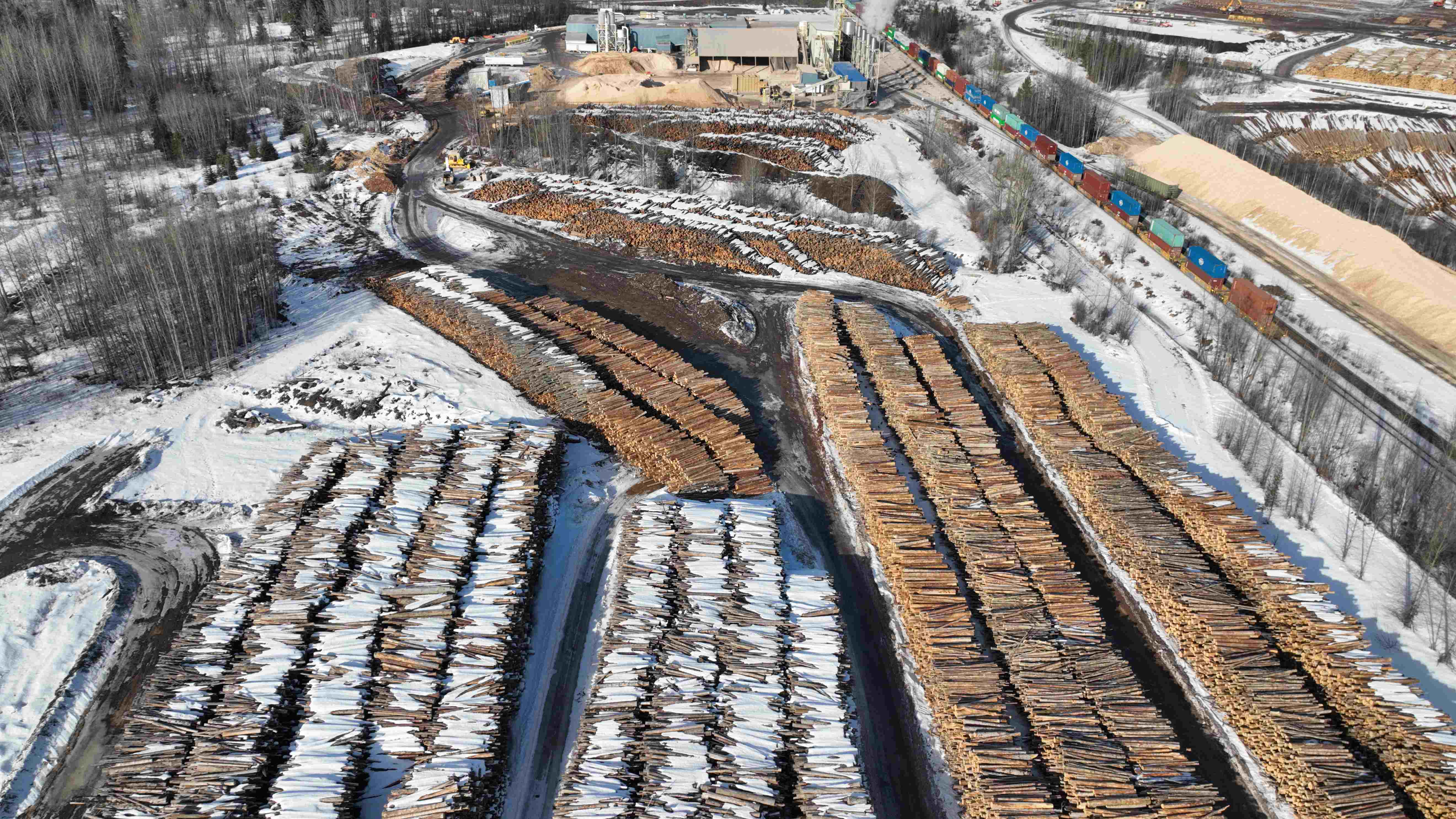 Groups call on Province to suspend pellet mill permit – THE MACKTOWN ...